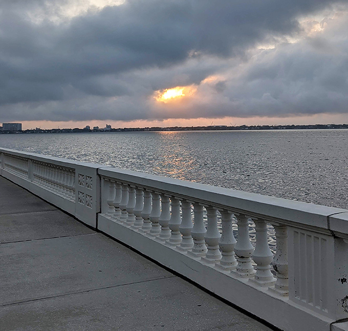 Dramatic skies create a moody backdrop along Bayshore Boulevard, where Florida's famous cloud formations add theater to an already scenic experience.