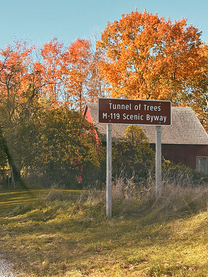 The official welcome sign stands surrounded by the very stars of the show &ndash; those magnificent trees that have been drawing visitors for generations. 