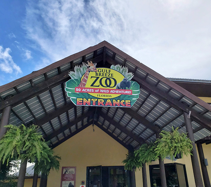 The zoo entrance: where ordinary Florida transforms into an extraordinary global wildlife expedition.