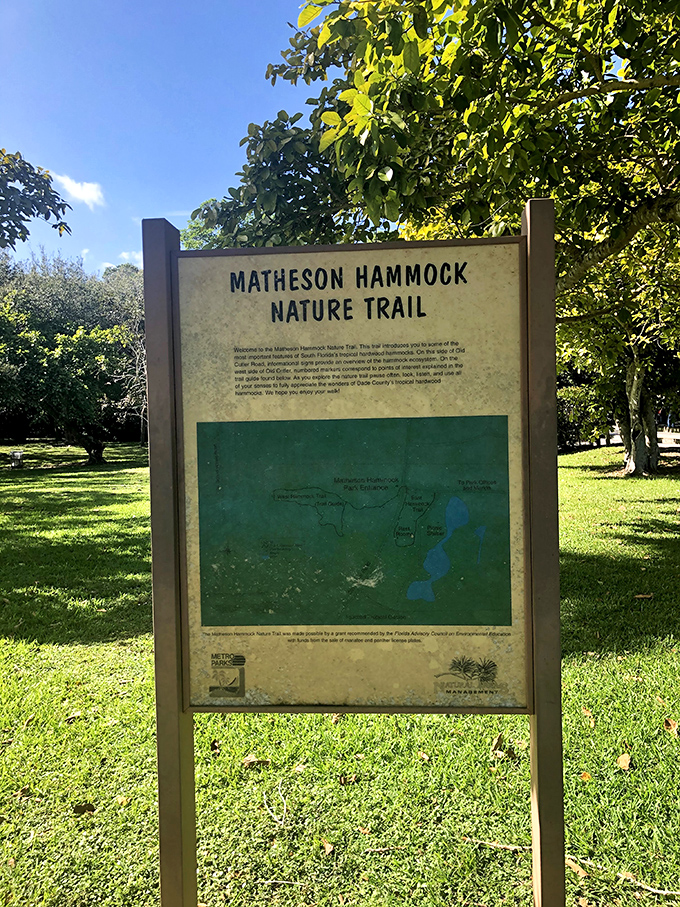 The Matheson Hammock Nature Trail invites explorers to discover Florida's native ecosystem one fascinating step at a time.