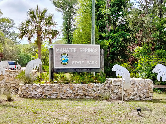 The welcoming entrance to Manatee Springs State Park, where manatee cutouts hint at the gentle giants waiting within.