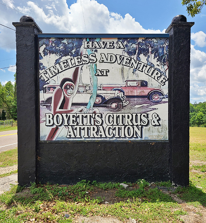 The entrance sign promises a "timeless adventure" &ndash; perhaps the most honest advertising in the tourism industry.