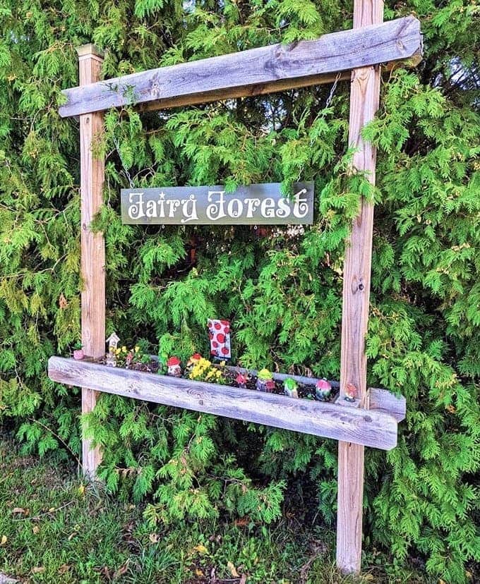 Signage: Simple wooden frame announces "Fairy Forest" with the understated confidence of a place that knows its enchantment speaks for itself.