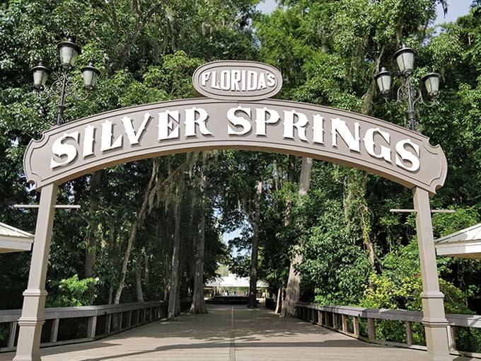 The gateway to Florida's original attraction, where nature has been putting on a spectacular show since before humans arrived to watch.
