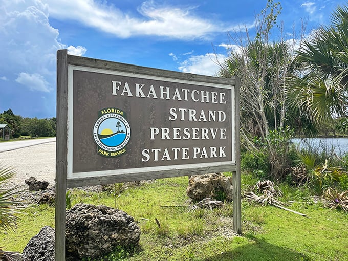 The state park sign welcomes visitors to Fakahatchee Strand Preserve, gateway to one of Florida's most spectacular and underappreciated natural treasures.