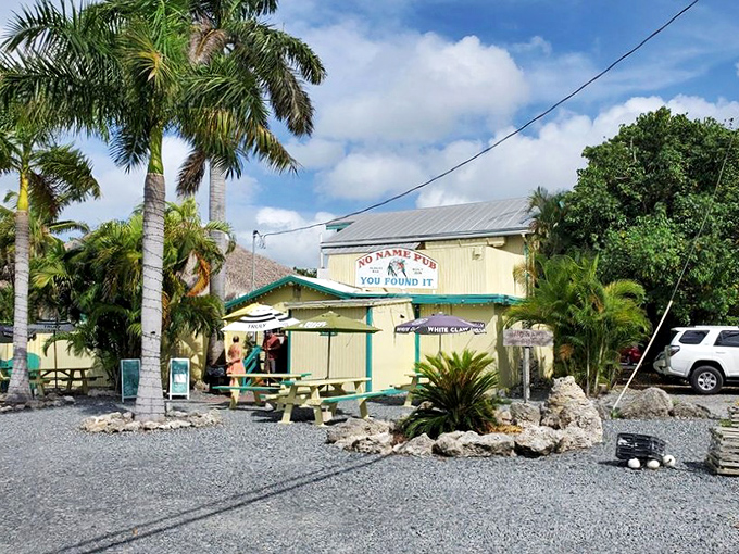 Storefront: The unassuming yellow exterior gives no hint of the green-papered wonderland waiting inside &ndash; the best surprises come in modest packages.