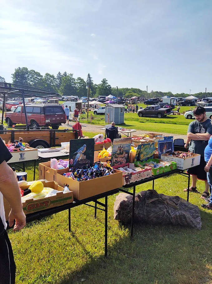 Bins of toys create a kaleidoscope of childhood memories and future adventures, offering everything from vintage collectibles to modern playthings that prove the joy of discovery never gets old.