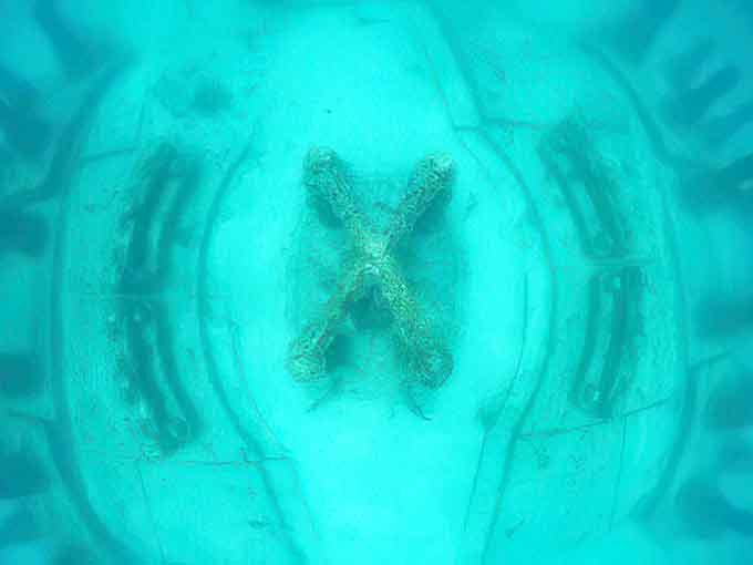 The distinctive "X" marker creates an otherworldly focal point, its purpose mysterious yet somehow perfectly at home in this aquatic realm.