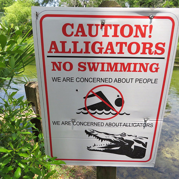 Warning signs remind visitors that in Florida, even paradise comes with teeth &ndash; alligators don't care about your Instagram photos or vacation plans.