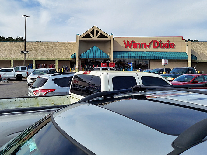 Winn-Dixie &ndash; where shopping carts still have that one rebellious wheel and everyone knows the butcher by name.