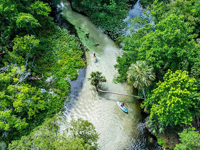 The bird's-eye view reveals what paddlers already know&mdash;this winding waterway is nature's answer to the theme park lazy river, minus the chlorine.
