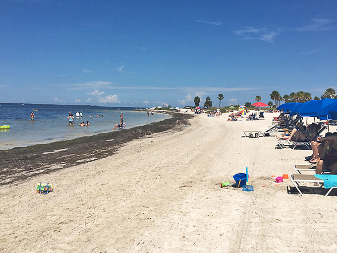 The gentle slope of this beach creates natural wading pools, perfect for those who prefer their ocean experiences on the milder side.