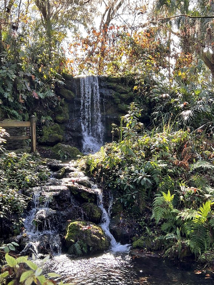 Water tumbles dramatically over rocky ledges, creating a misty veil that catches sunlight on particularly bright days.