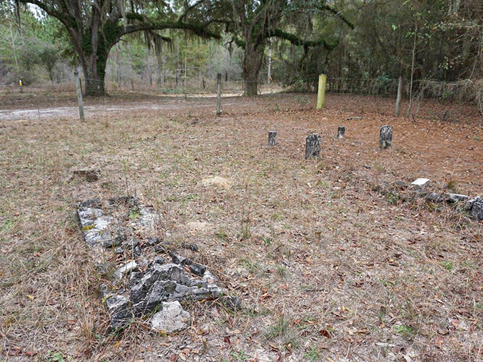 The cemetery's boundaries blur where forest meets hallowed ground, a perfect metaphor for memory's edge meeting wilderness.