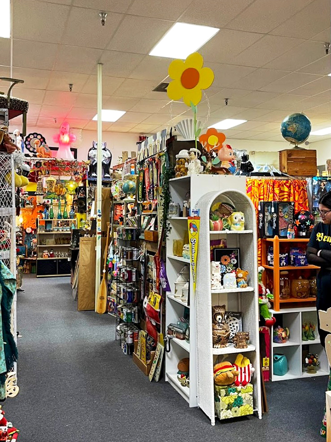 Every aisle offers new discoveries, with colorful treasures stacked from floor to ceiling in this wonderland of vintage finds.