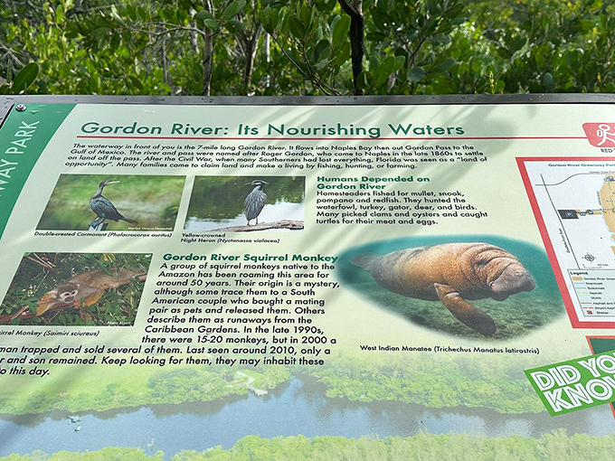 Educational signage reveals the river's rich history and wildlife, turning a simple walk into a fascinating outdoor classroom.