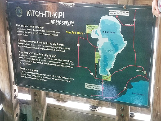 This sign reveals the spring's secrets, answering the eternal visitor question: "How deep is that thing, anyway?"