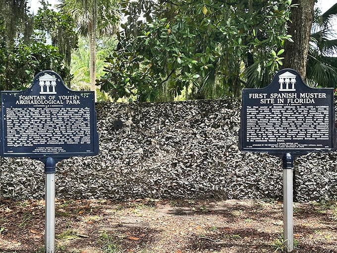 Historical markers remind visitors that this natural wonder has deep roots in Florida's past, standing witness to centuries of American history.