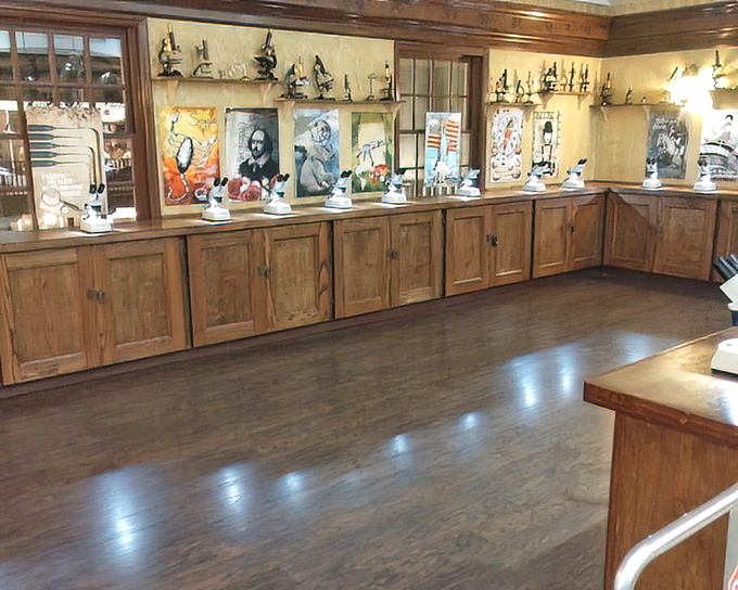 The gallery's thoughtful design creates a laboratory-like atmosphere where art and science merge into an experience unlike any traditional museum.