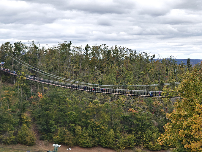 The bridge stretches toward the horizon like a dare written across the landscape. Some paths are meant to be followed, especially the ones that float.