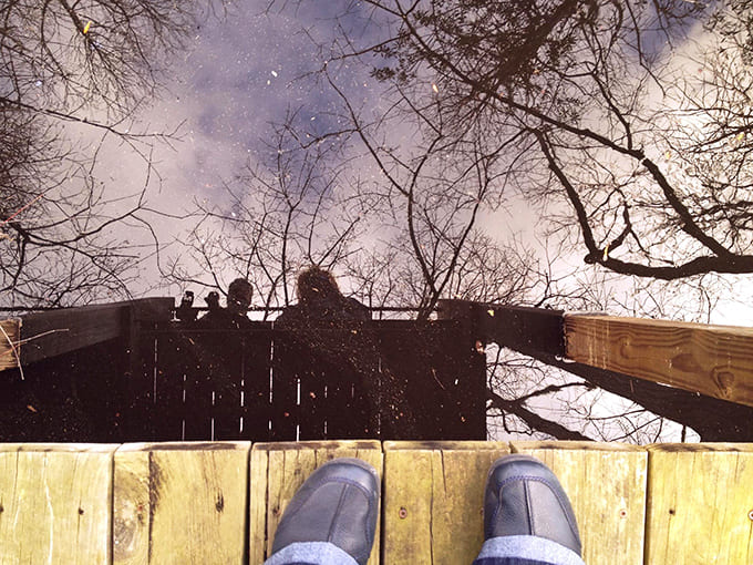 Looking straight down reveals another dimension of the Dead Lakes, where underwater life thrives among submerged roots.
