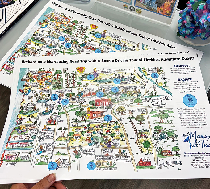 This whimsical map guides adventurers through Florida's mermaid territory, because apparently GPS hasn't caught up with mythical creature navigation yet.