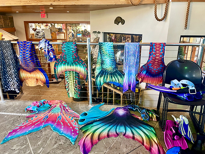 A rainbow collection of mermaid tails awaits their temporary owners &ndash; each one promising transformation and underwater magic.