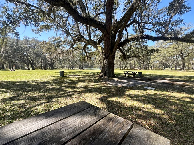 Nature provides the perfect dining room, ancient oaks offering shade while picnic tables invite you to savor every bite of Bradley's bounty.