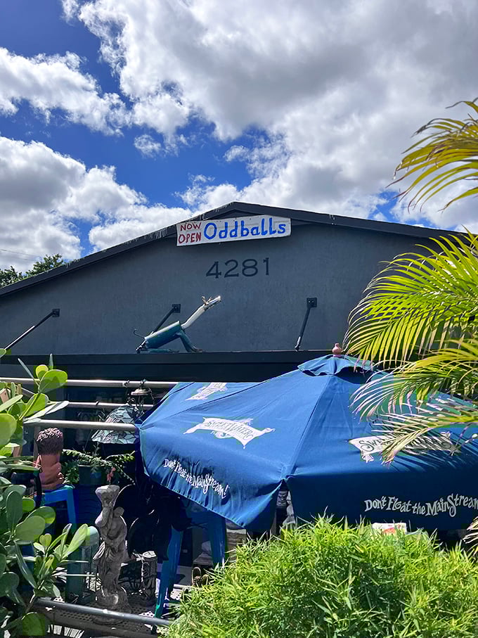 Palm fronds frame the entrance to this thrifting paradise, where "Now Open" might be the understatement of the year.