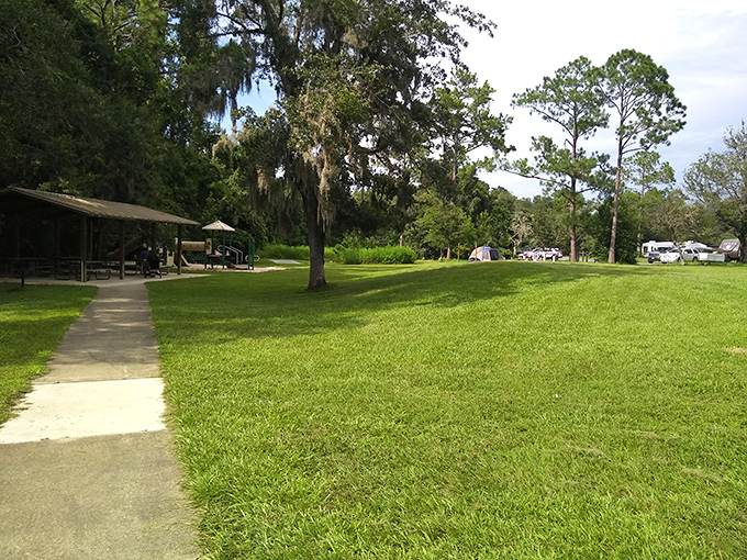 Picnic area: Shaded tables await under ancient oaks, promising the kind of outdoor dining experience that makes even simple sandwiches taste gourmet.