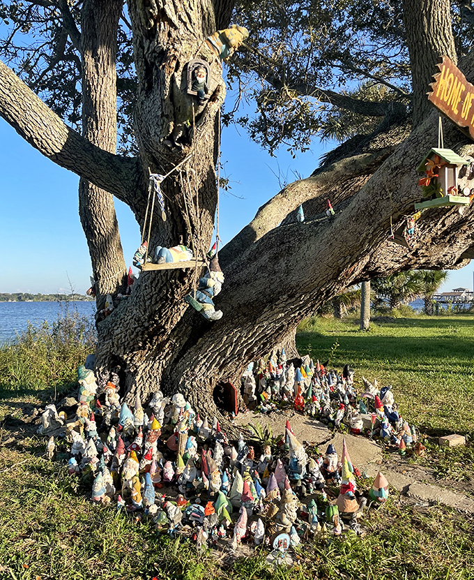 This beloved local landmark has become Holly Hill's most photographed attraction, where whimsy and community spirit create Florida magic without admission fees.