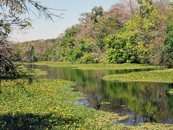 The St. Johns River flows serenely past, its waters still carrying the reflections of a town long vanished.