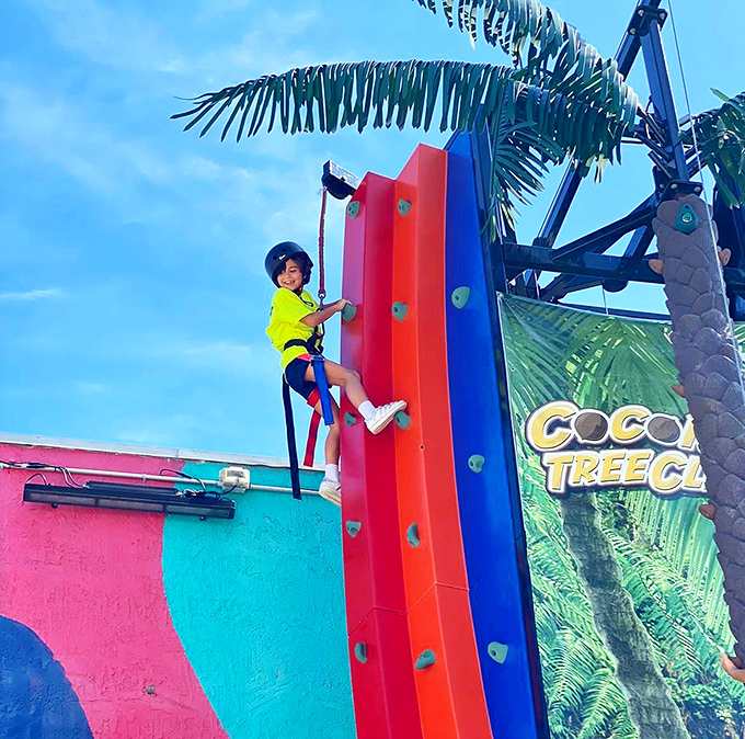 Young climbers scale colorful walls with determination, discovering that the view is always better when you've worked for it.
