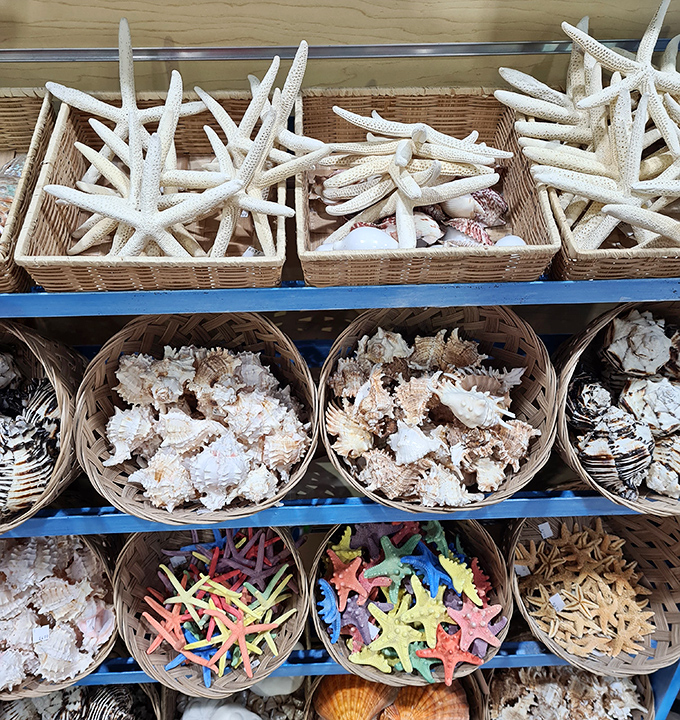 Seashells and Starfish Souvenir: Nature's perfect designs arranged in woven baskets, tempting collectors to bring a piece of the ocean home.