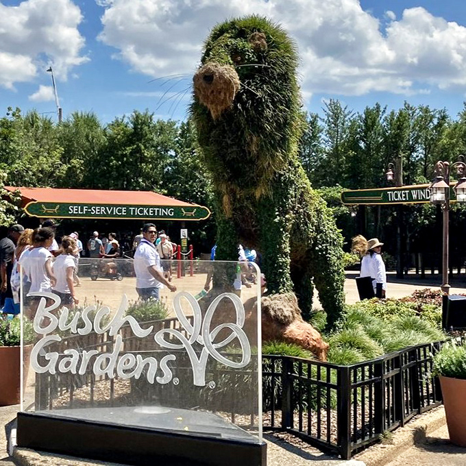 The iconic Busch Gardens topiary welcomes visitors to a day of questionable food choices and unquestionable fun.