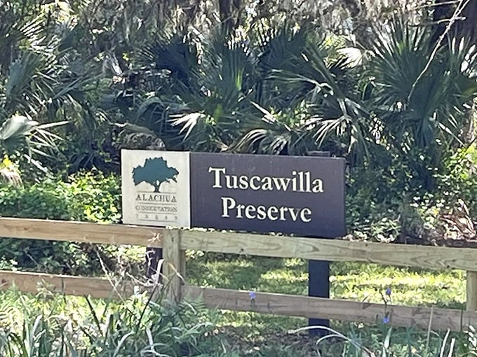 The Tuscawilla Preserve sign stands as a humble gatekeeper to extraordinary natural wonders &ndash; like finding Narnia in your neighborhood.