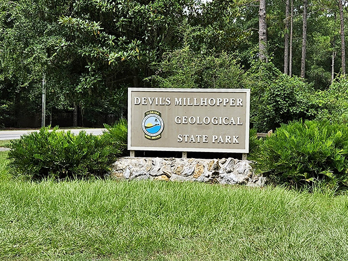 The park sign stands as the official greeter, silently saying "Yes, you've found it &ndash; the place where Florida gets wonderfully weird."