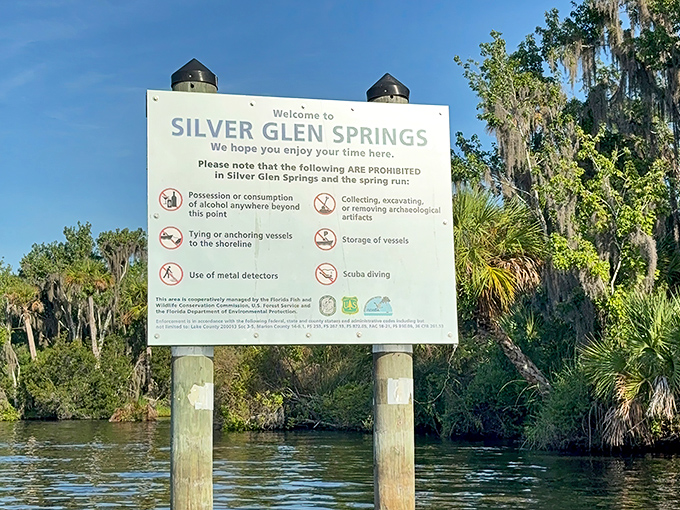 The welcome sign lays out the rules for Silver Glen Springs, where protection ensures this paradise remains for future generations.