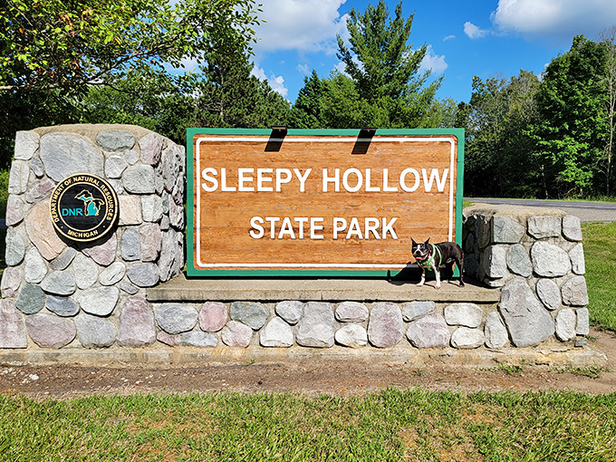 The park entrance doesn't just mark a boundary &ndash; it's the threshold between ordinary life and the extraordinary natural world waiting beyond.