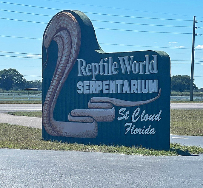 The roadside sign stands as a beacon for the adventurous, promising encounters with creatures that slither, hiss, and occasionally star in your nightmares.