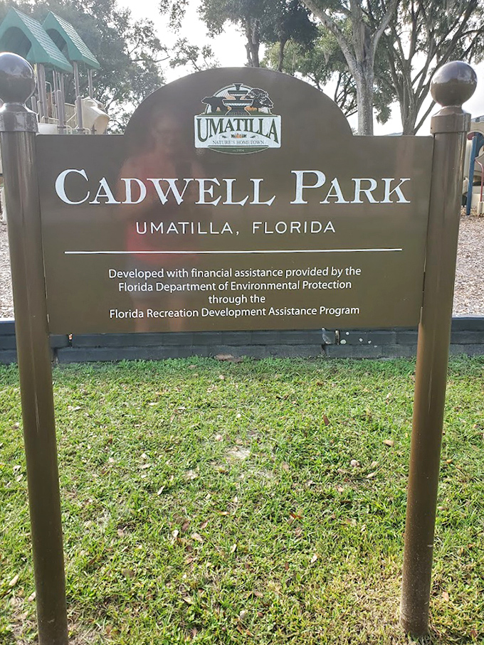 The official park sign stands as a testament to community investment, marking this special place where art and nature harmoniously coexist.
