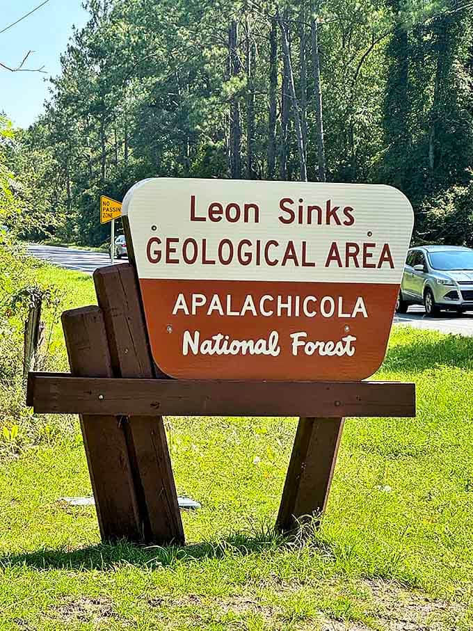 The welcoming sign stands like a friendly greeter, announcing you've arrived somewhere special without the need for a turnstile.
