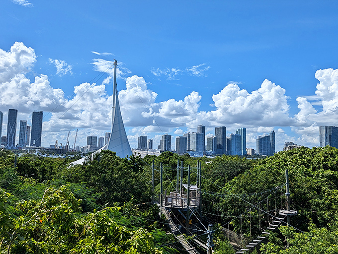 The reward for your bravery: Miami's spectacular skyline framed by lush greenery, a view reserved for birds and intrepid climbers.