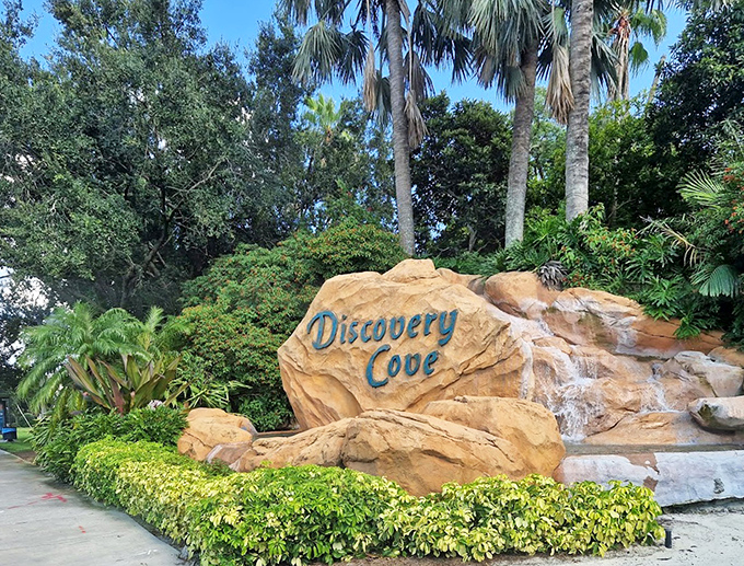 The Discovery Cove entrance sign promises adventure beyond its stone facade, water trickling down as if nature itself is welcoming visitors.