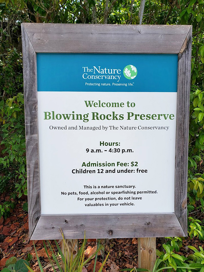 Even paradise has opening times, but at just $2 admission, this natural wonderland is Florida's best bargain.