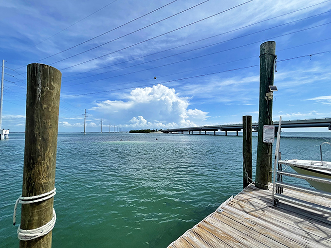 The postcard-perfect view from Robbie's dock, where the turquoise waters of the Florida Keys stretch to meet the horizon.