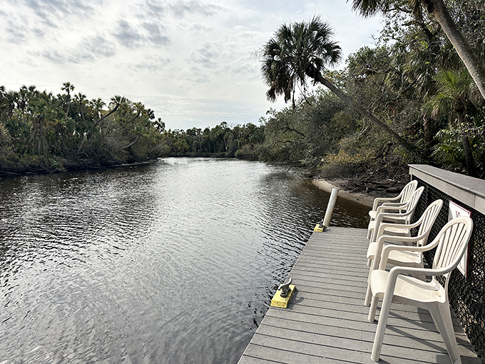 The Myakka River flows lazily past the restaurant, offering diners a slice of wild Florida with their meal.