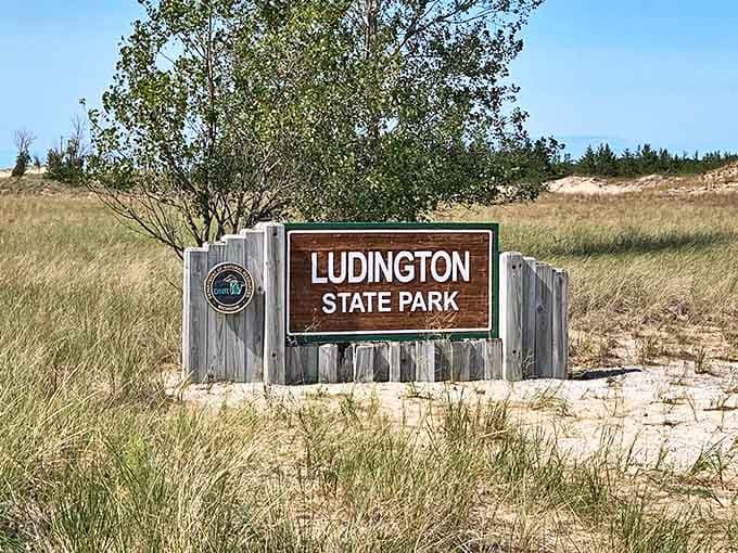 The park's entrance sign stands as a promise &ndash; beyond this point, real life takes a backseat to adventure.