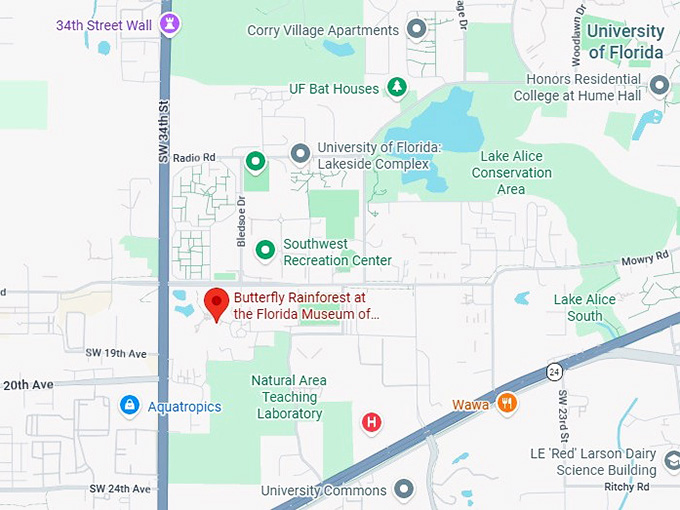 16. butterfly rainforest at the florida museum of natural history map