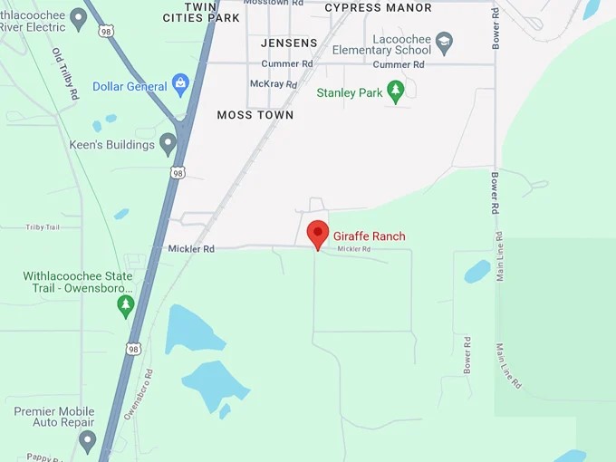 16. giraffe ranch 10 map